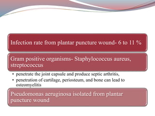 Puncture wounds and bites | PPTX