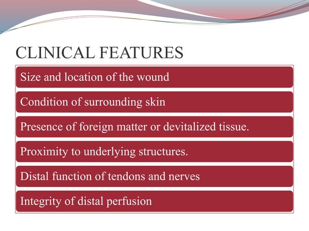Puncture wounds and bites | PPTX | First Aid | Injuries