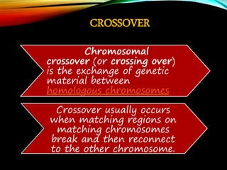 MACHINE LEARNING - GENETIC ALGORITHM | PPTX | Genetics | Science