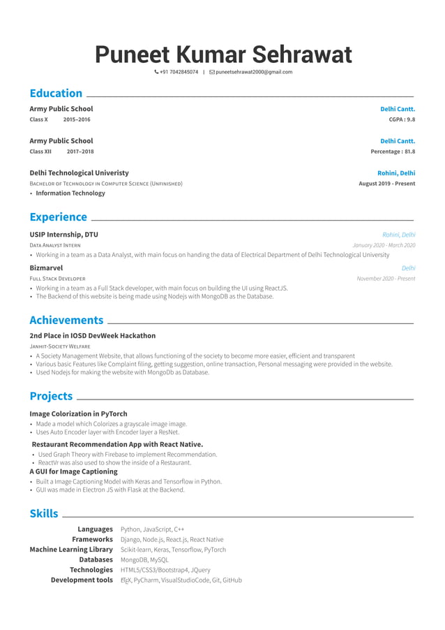 Puneet kumar s_cv_step | PDF