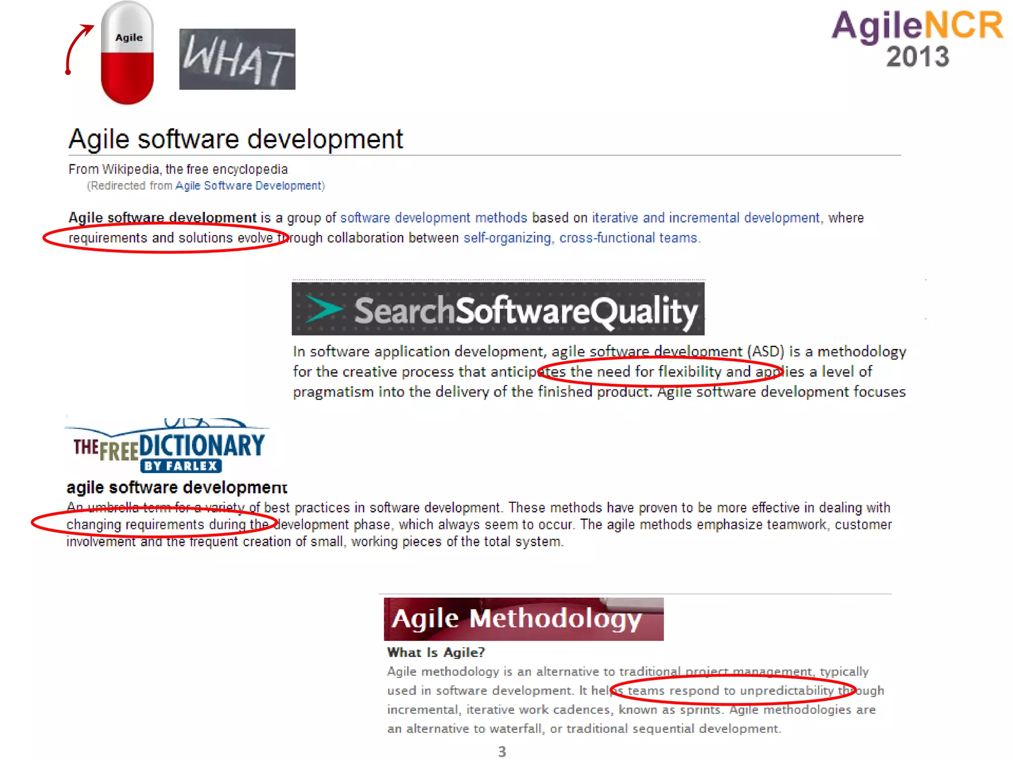 Puneet sachdev Agile NCR 2013 - Pragmatic Agile Adoption | PDF ...