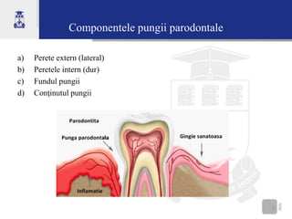Punga parodontală.pptx
