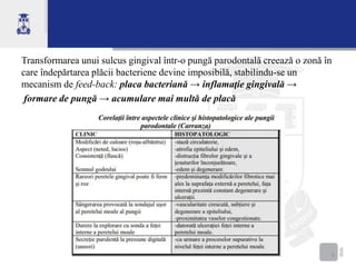 Punga parodontală.pptx