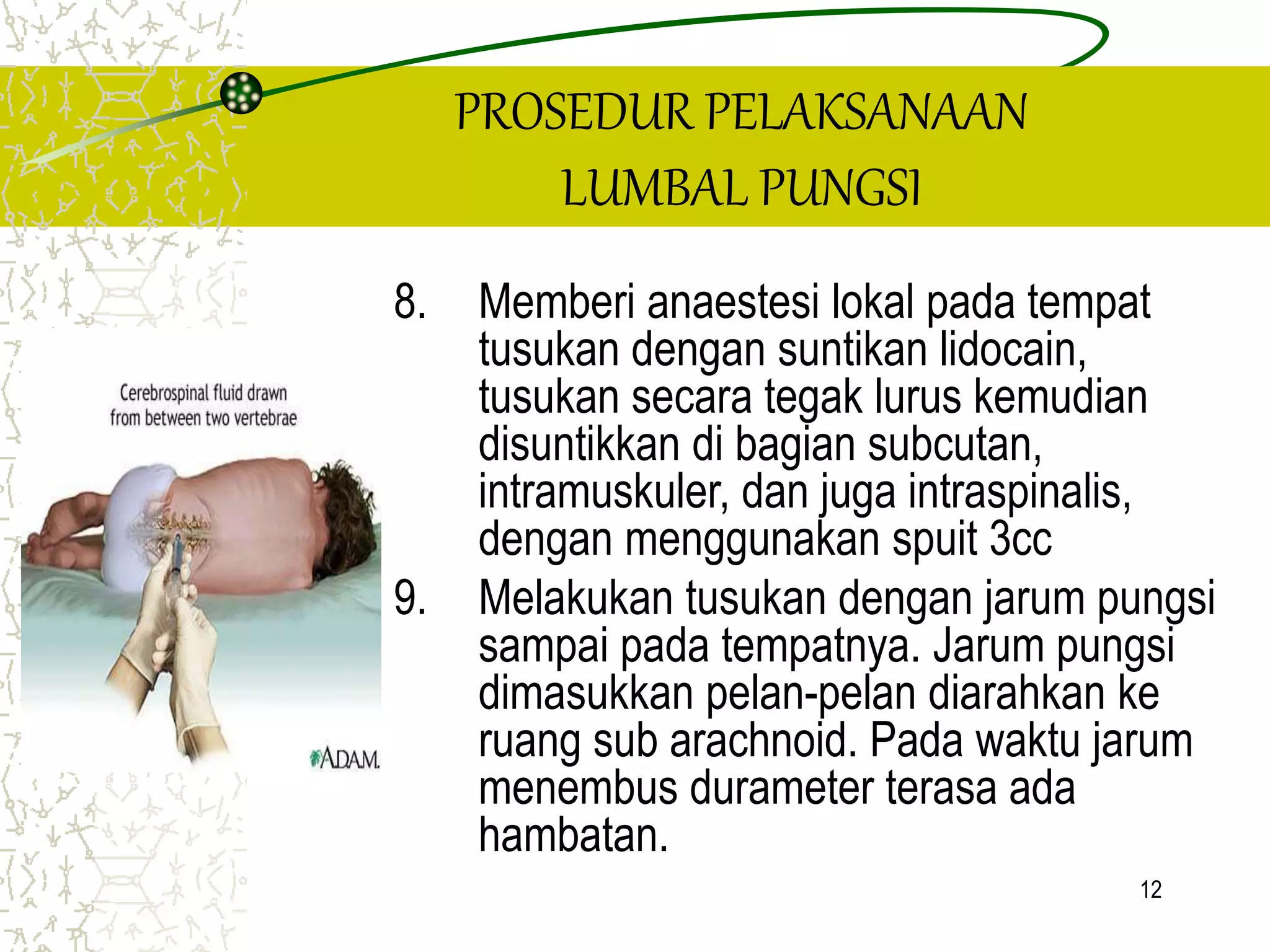 PUNGSI_LUMBAL.ppt