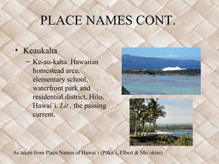 Punia+ +the+sharks | PPT