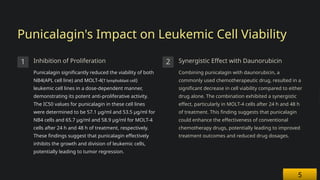 Punicalagin-A-Promising-Anti-Leukemic-Agent.pptx