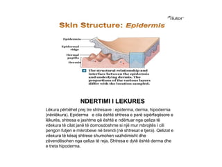 Punim seminarik | PPTX