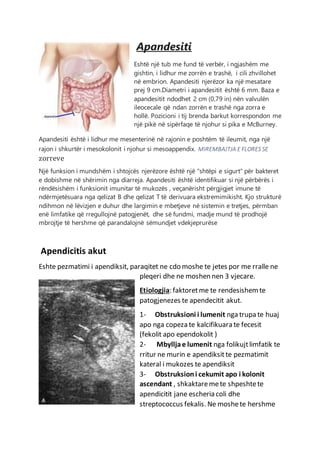 punim seminarik interno.docx
