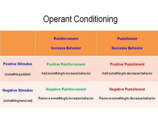 Punishment vs reinforcement in increasing work performance (1) | PPT