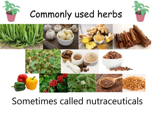 Drug-Herb interactions (with reference to commonly used herbs) | PPT