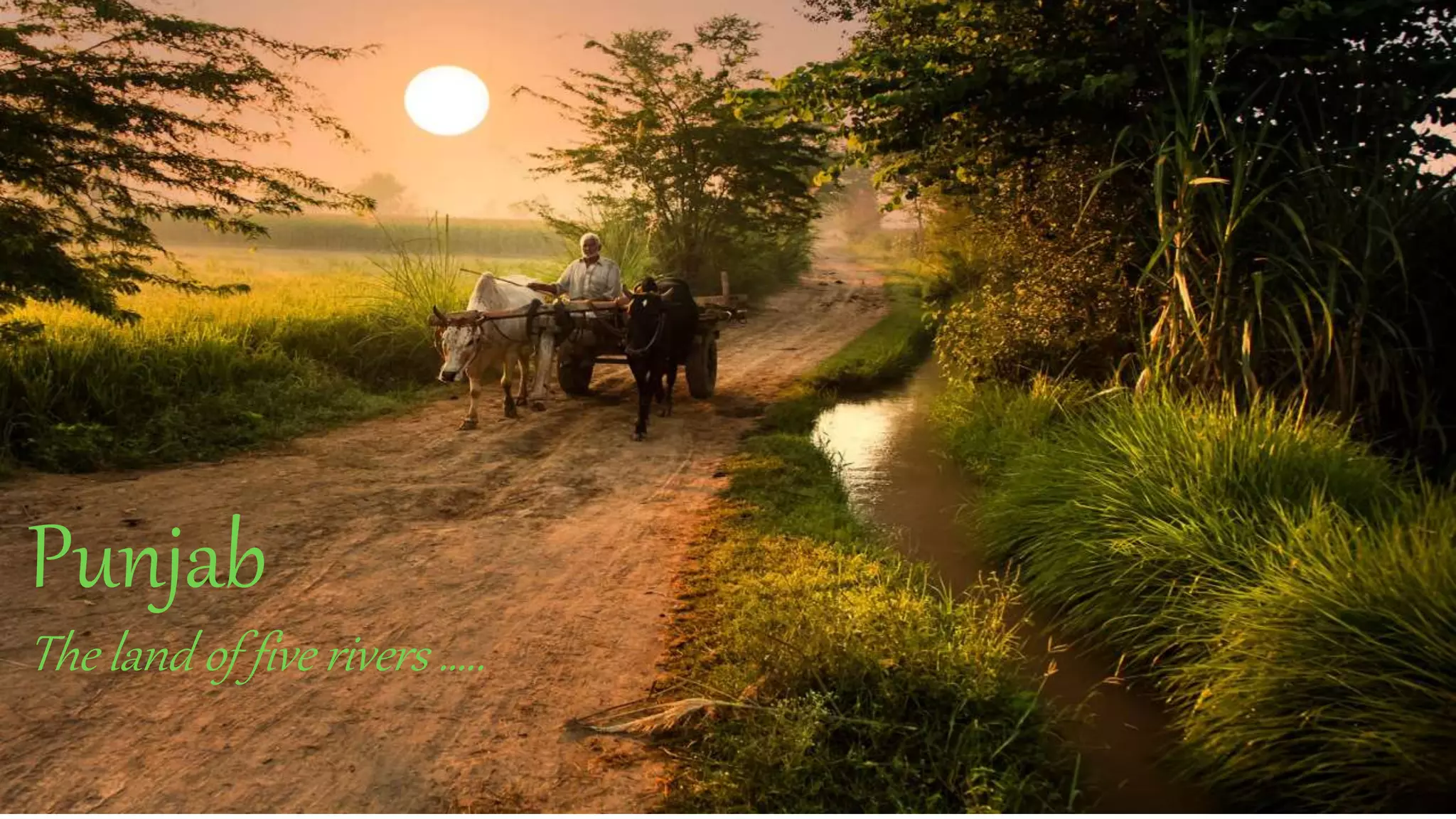 Punjab The Land of rivers | PPT