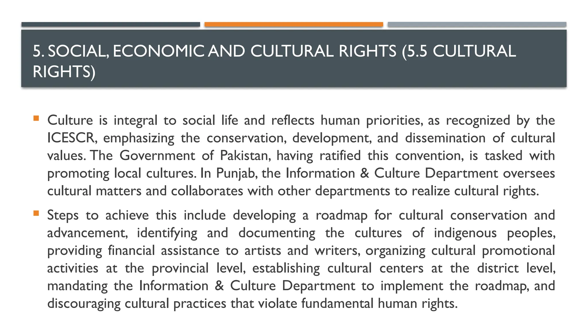 PUNJAB HUMAN RIGHTS POLICY 2018 (1).pptx