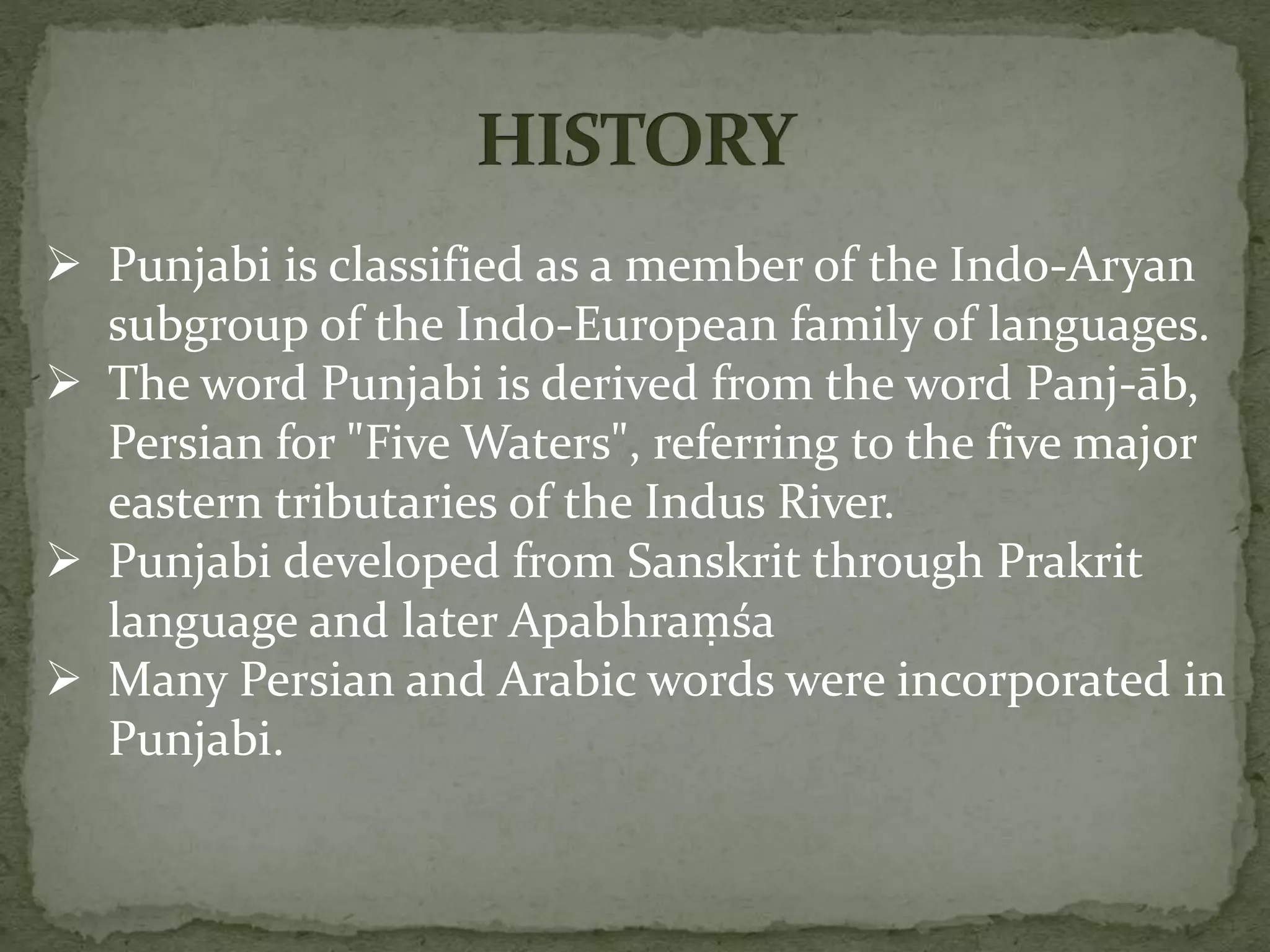 PUNJABI LANGUAGE | PPTX