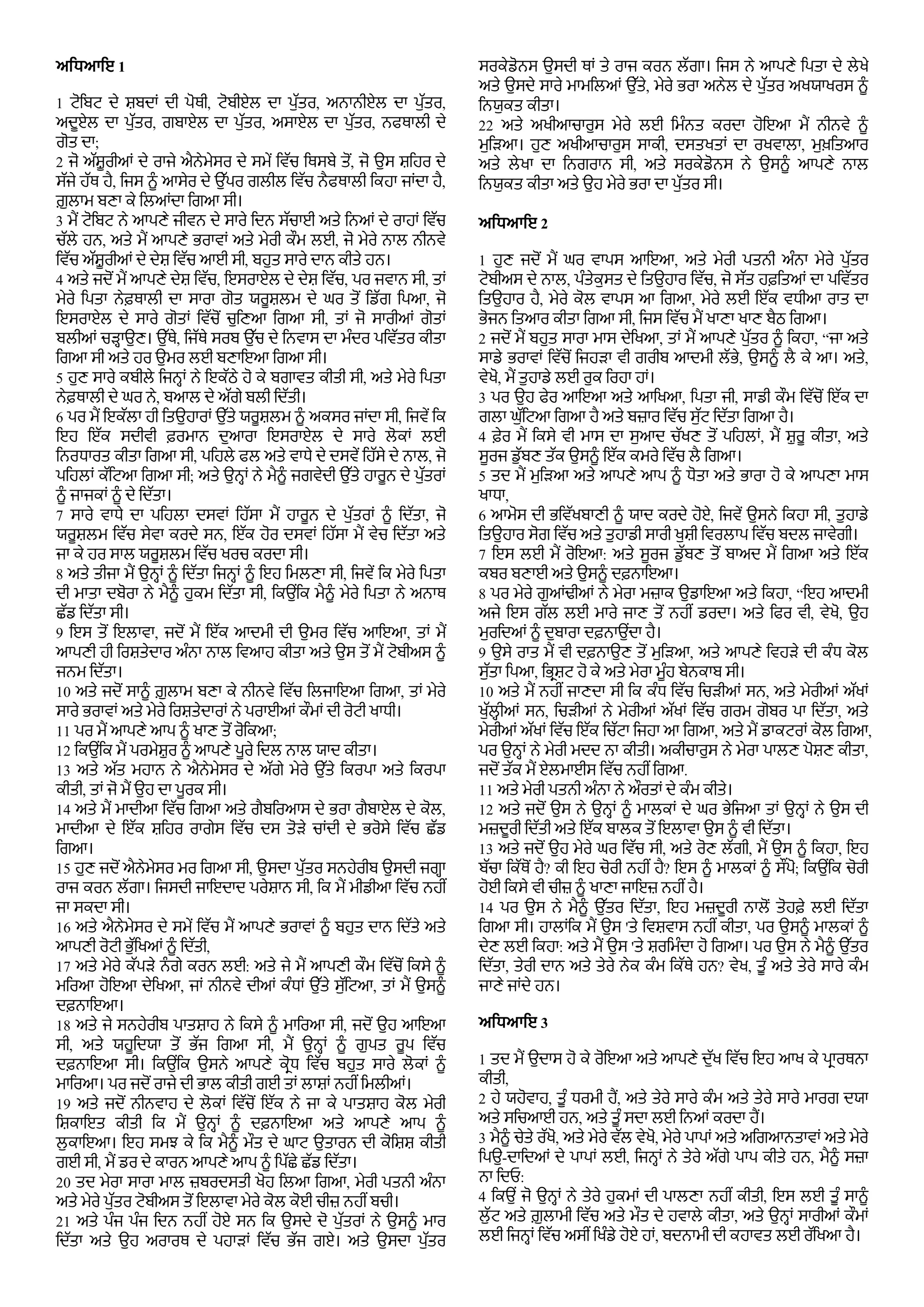 Punjabi Gurmukhi - Tobit.pdf