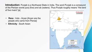 The Punjabi Culture | PPTX