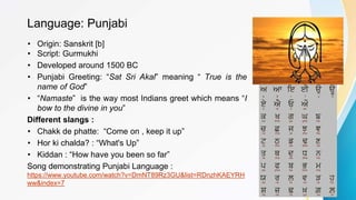 The Punjabi Culture | PPTX