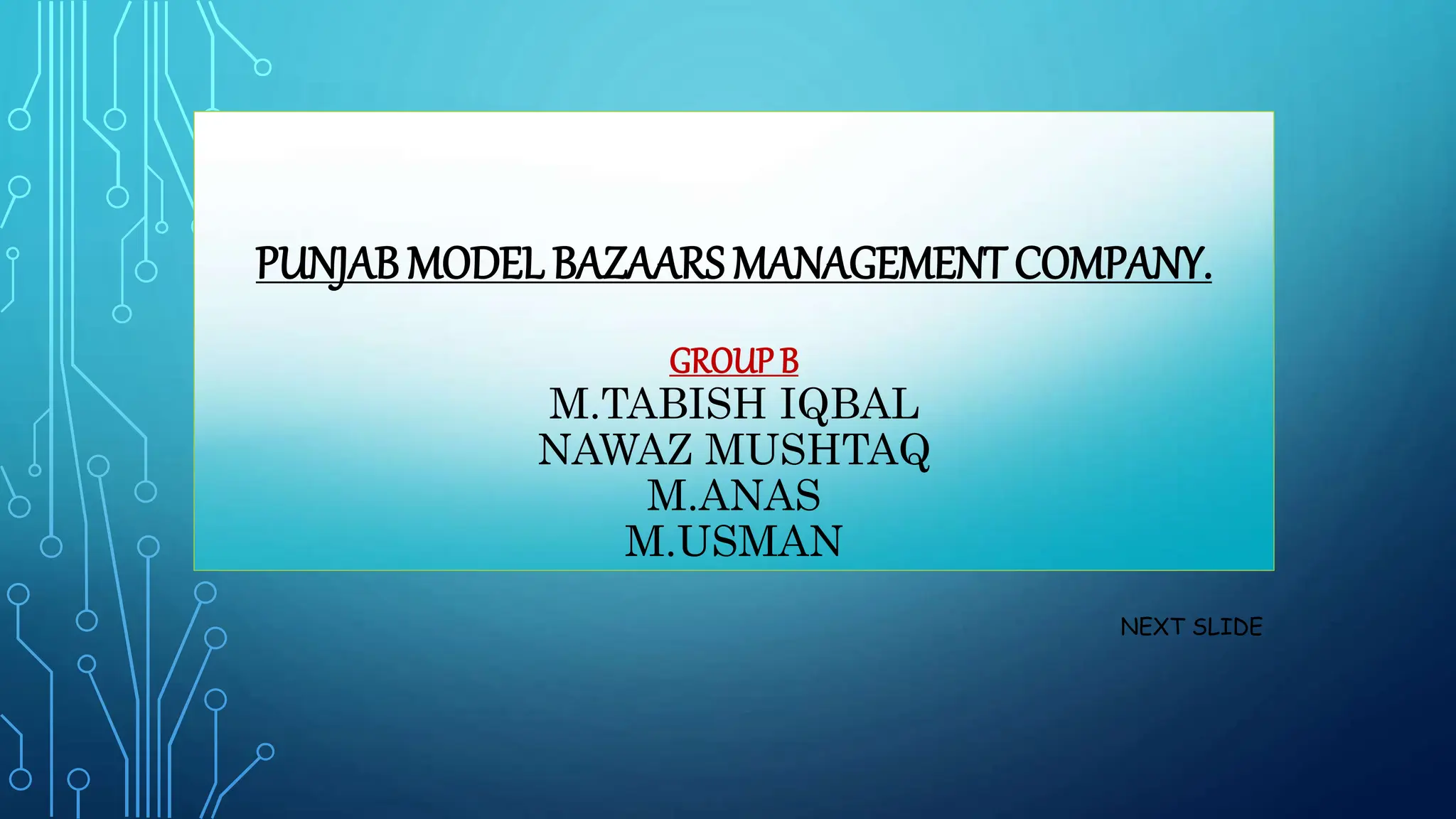 Punjab Model Bazaars management COMPANY.pptx