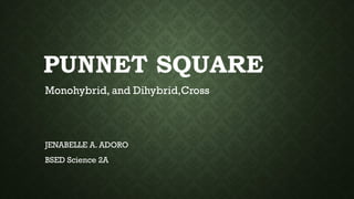 PunnetSquare ppt genetics for better understanding | PPTX