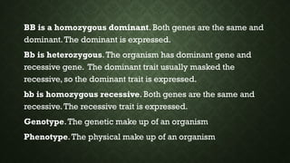PunnetSquare ppt genetics for better understanding | PPTX