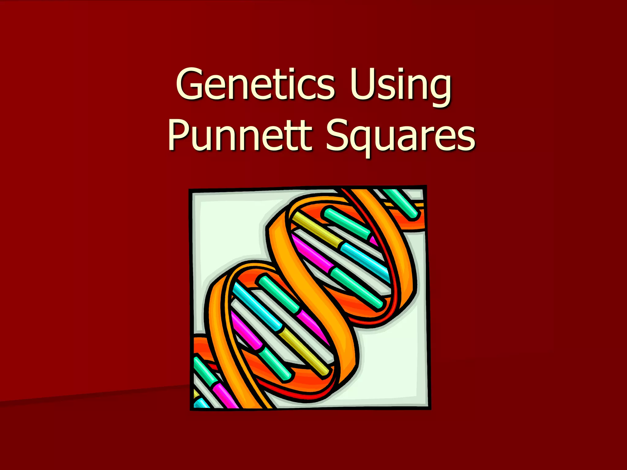 Punnett-Square.ppt