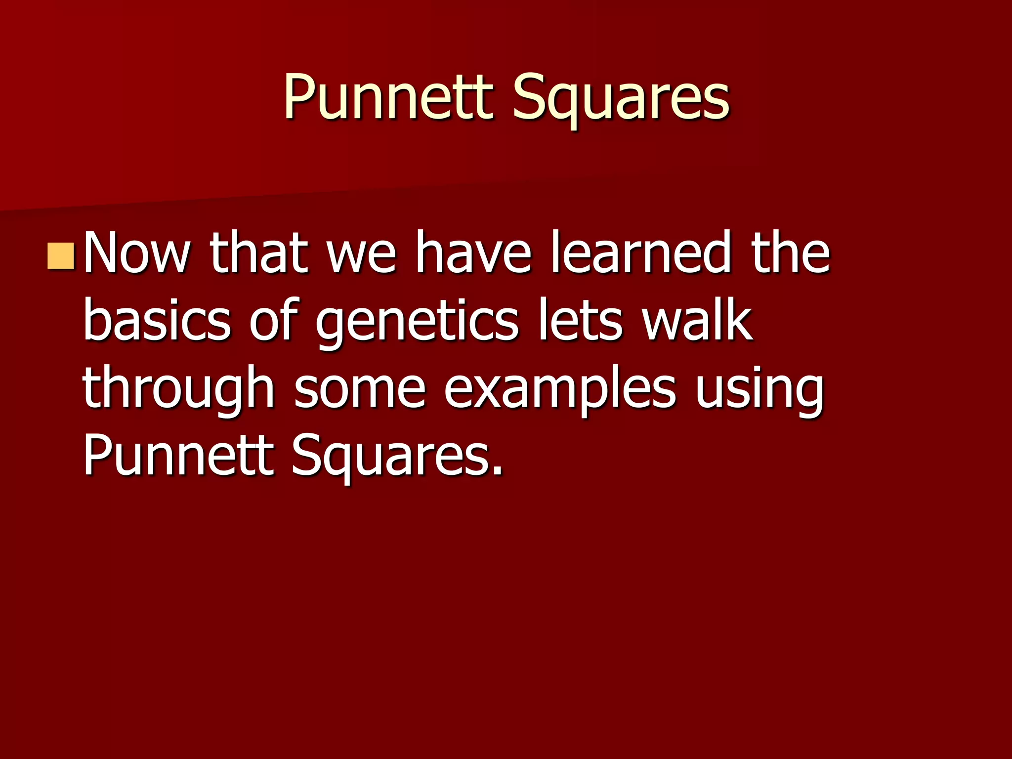 Punnett-Square.ppt