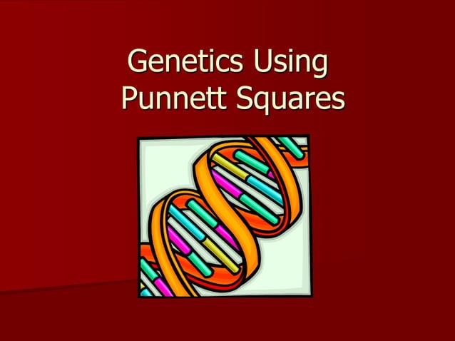 Punnett-Square.ppt | Genetics | Science