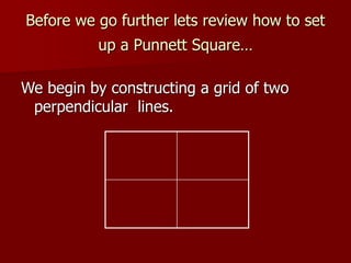 Punnett-Square.ppt