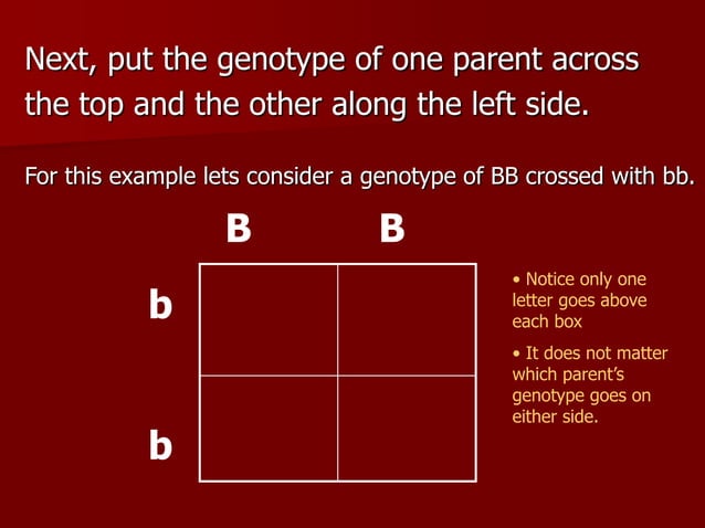 Punnett-Square.ppt | Genetics | Science