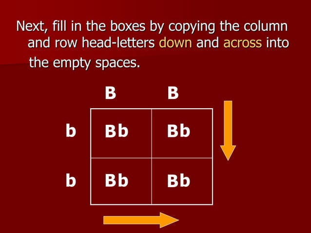 Punnett-Square.ppt | Genetics | Science