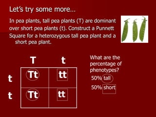 Punnett-Square.ppt