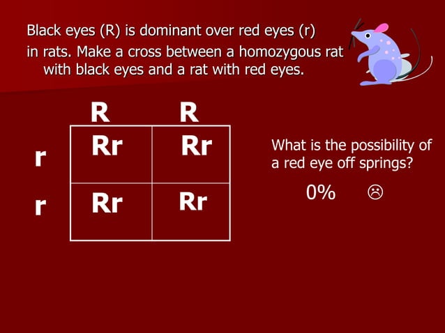 Punnett-Square.ppt | Genetics | Science