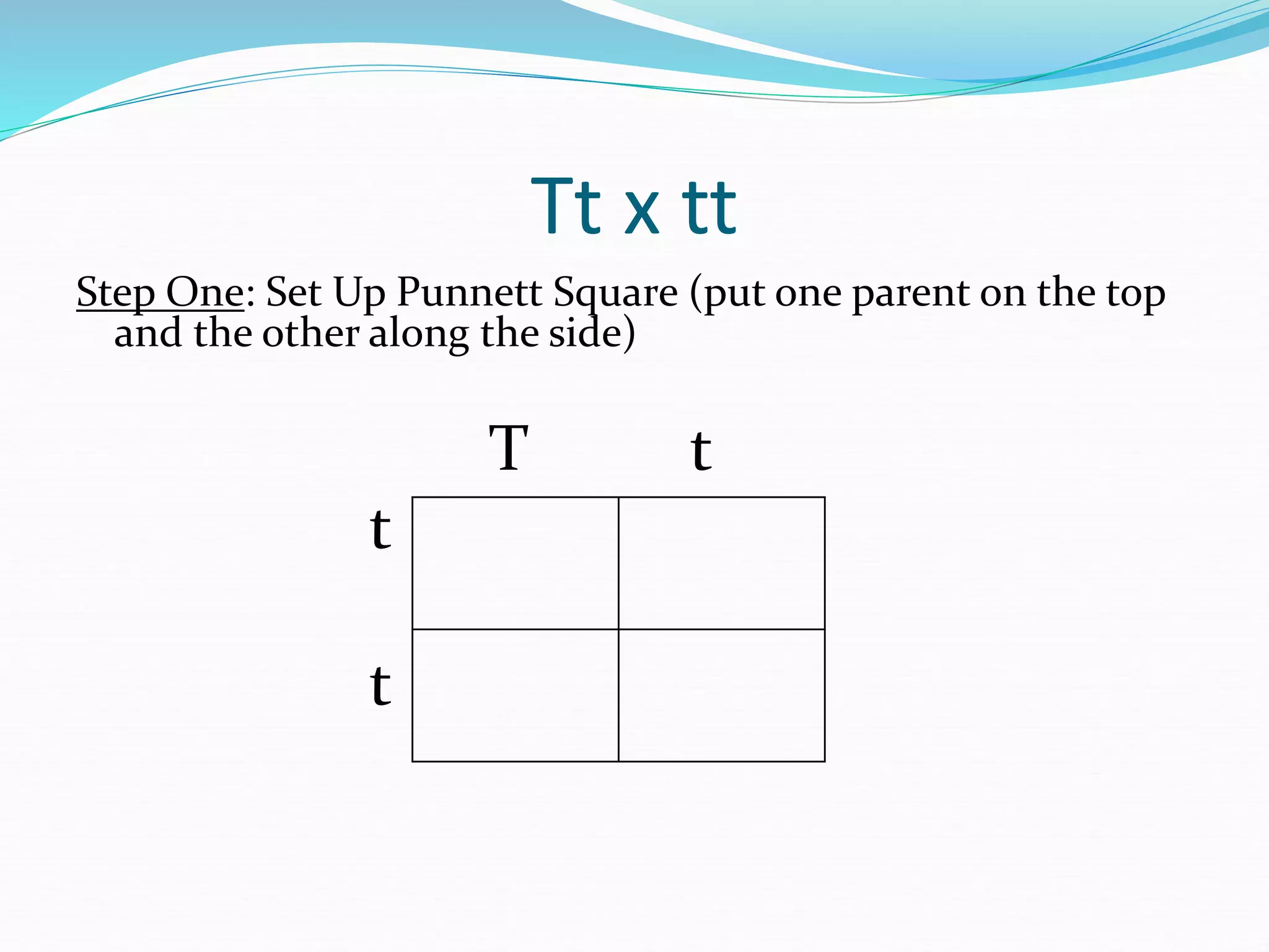 punnett-square-notes.ppt