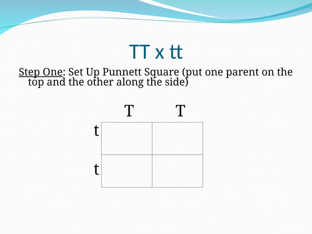 punnett-square-notes science lessons.ppt