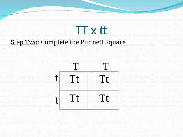 punnett-square-notes science lessons.ppt