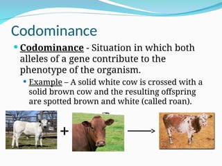 punnett-square-notesgrade9-221107071845-2fbd9a64.ppt