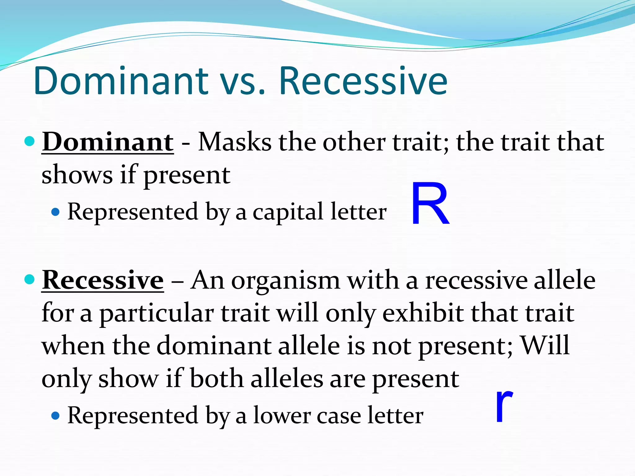 punnett-square-notes grade 9.ppt