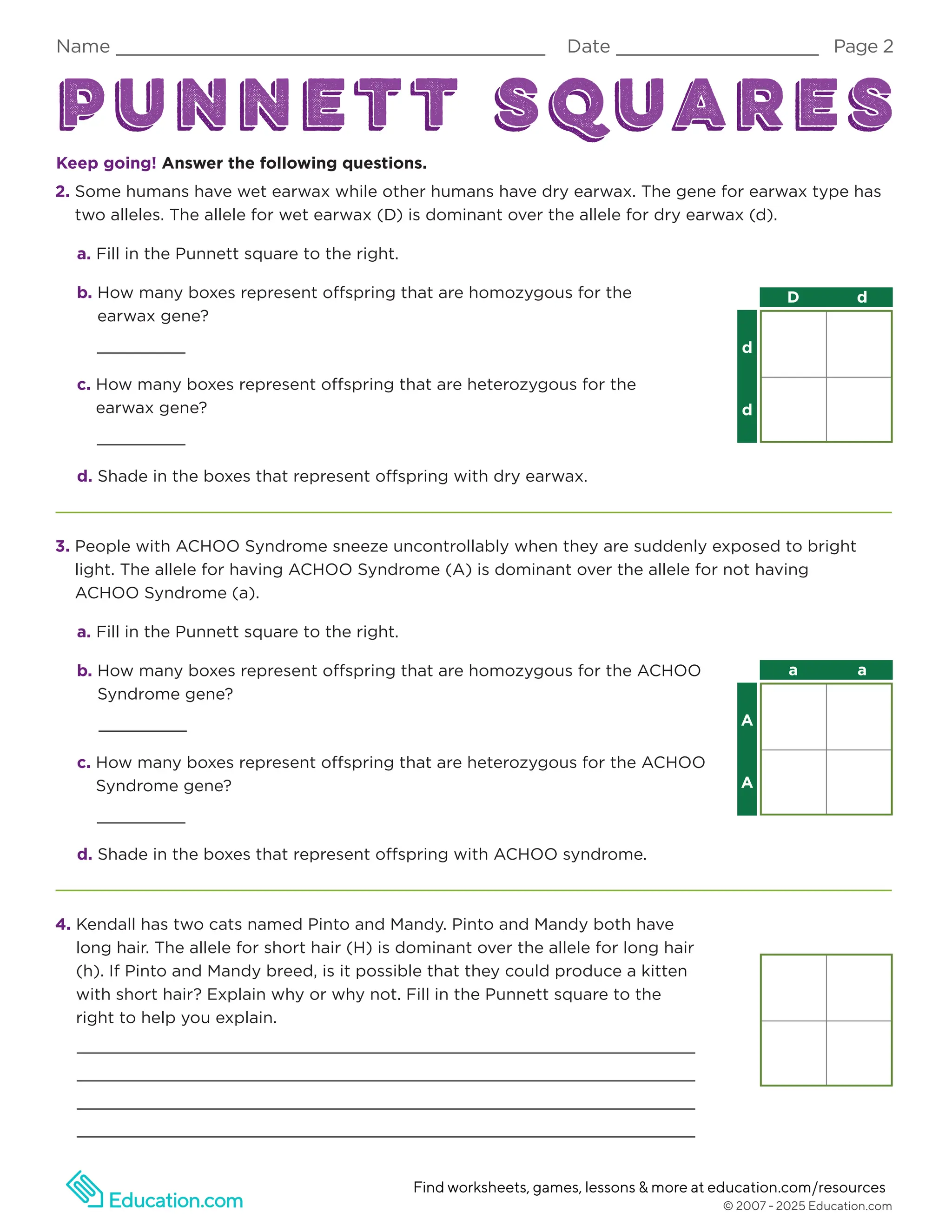 punnett-squares.pdf punnett-squares., punnett-squares. | PDF