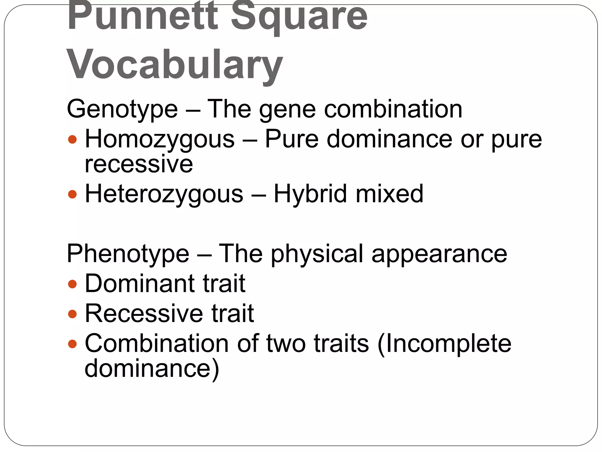 Punnett Square | PPTX