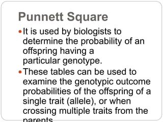 Punnett Square Definition