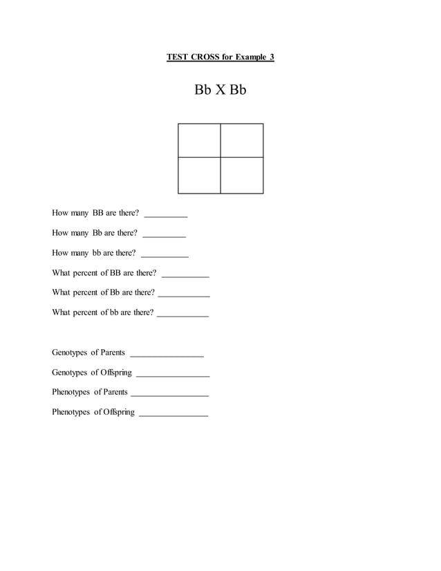 Punnett Square Lesson Plan | DOC | Homework and Study | Education