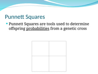 Understanding Mendelian Genetics: Traits, Alleles, and Punnett Squares ...