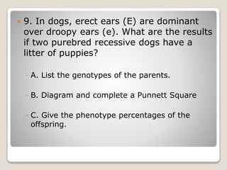 Punnett Square Practice Problems.ppt
