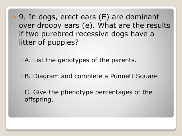 Punnett Square Practice Problems.ppt