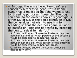 Punnett Square Practice Problems.ppt