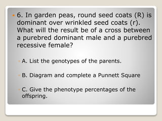 Punnett Square Practice Problems.ppt
