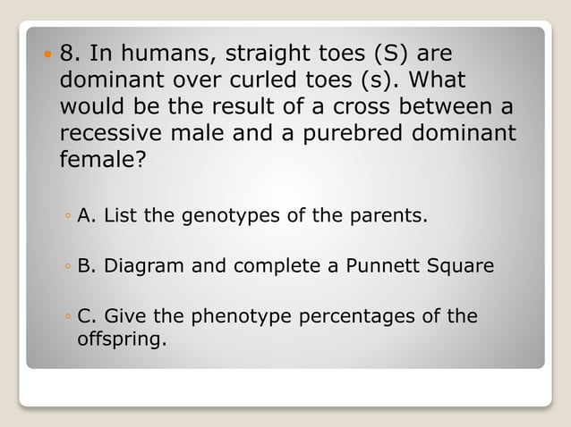 Punnett Square Practice Problems.ppt