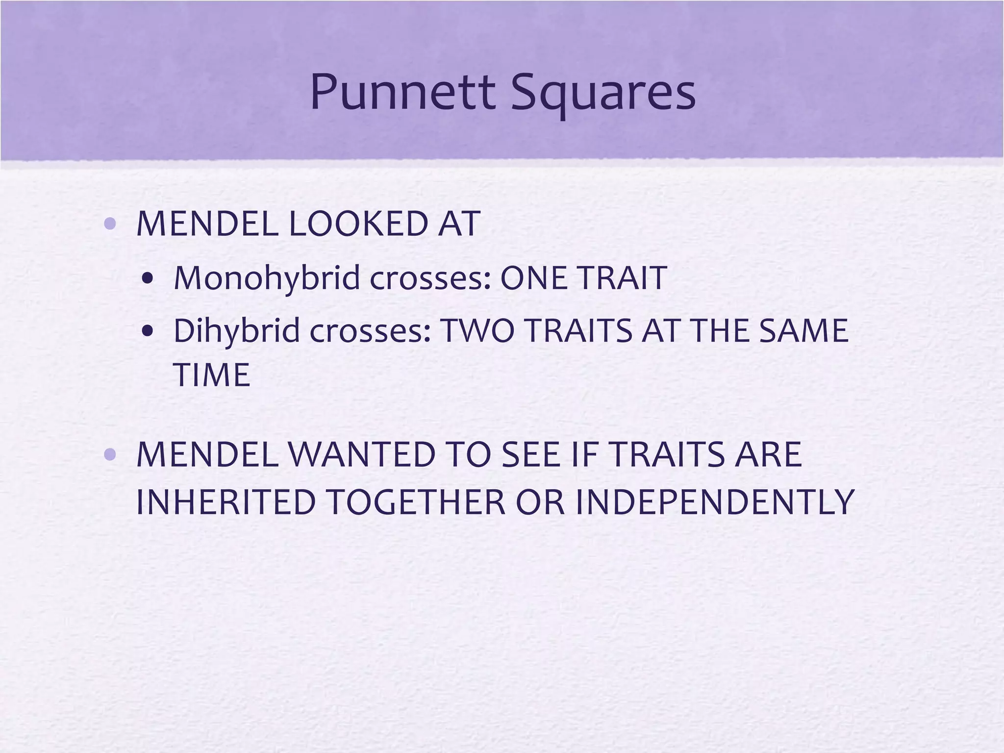 Punnett squares | PPT