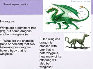 Punnett squares | PPT