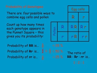 Punnett squares | PPT