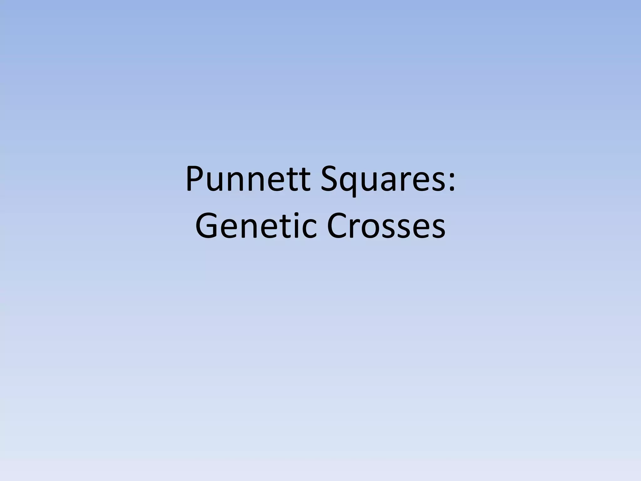 Punnett Squares | PPTX